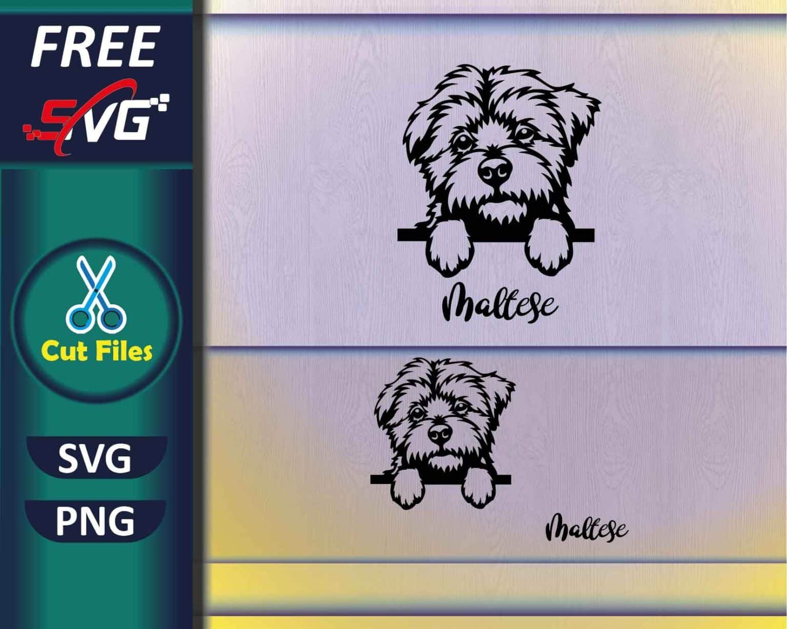 Maltese dog SVG Free, Dog Breeds Head SVG
