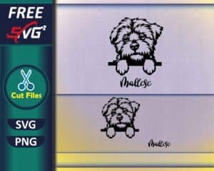 Maltese dog SVG Free, Dog Breeds Head SVG